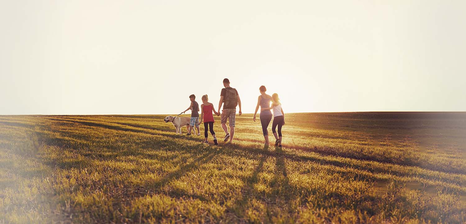 M Legal | Immigration Visa Services for Family Migration